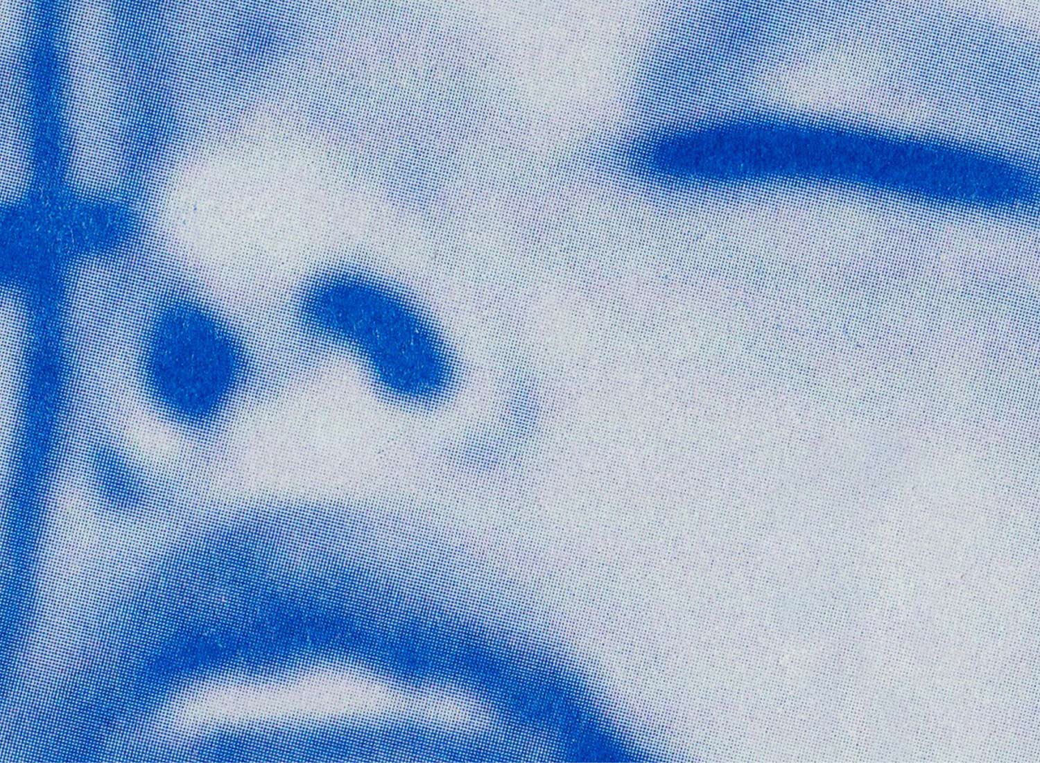 FREDERIK PLESNER ｜ PROJECT OVERVIEW